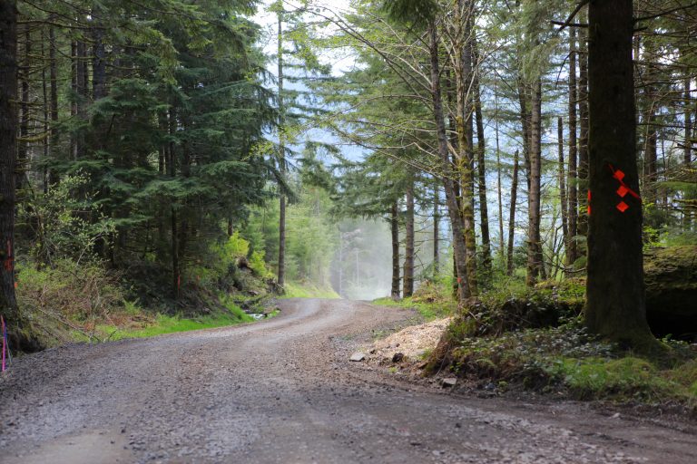 Sustainably managed forests help the Northwest environment - Washington ...