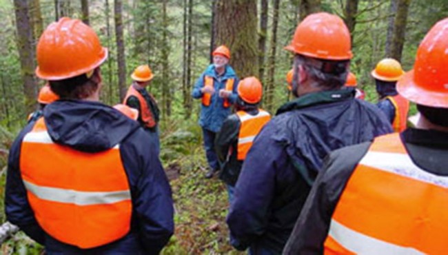 Young people get valuable work in Lewis County forests - Washington's ...